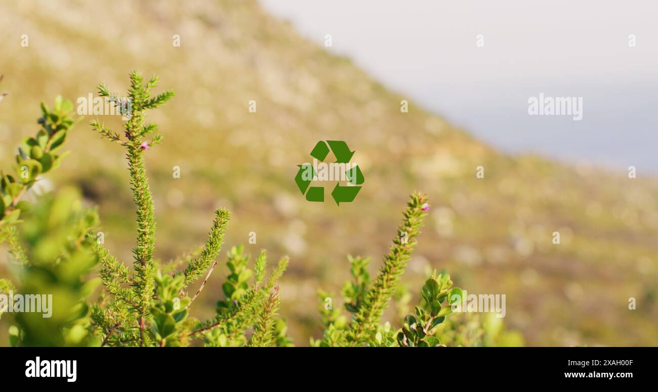 Image of recycling, sustainability and ecology icons over landscape ...