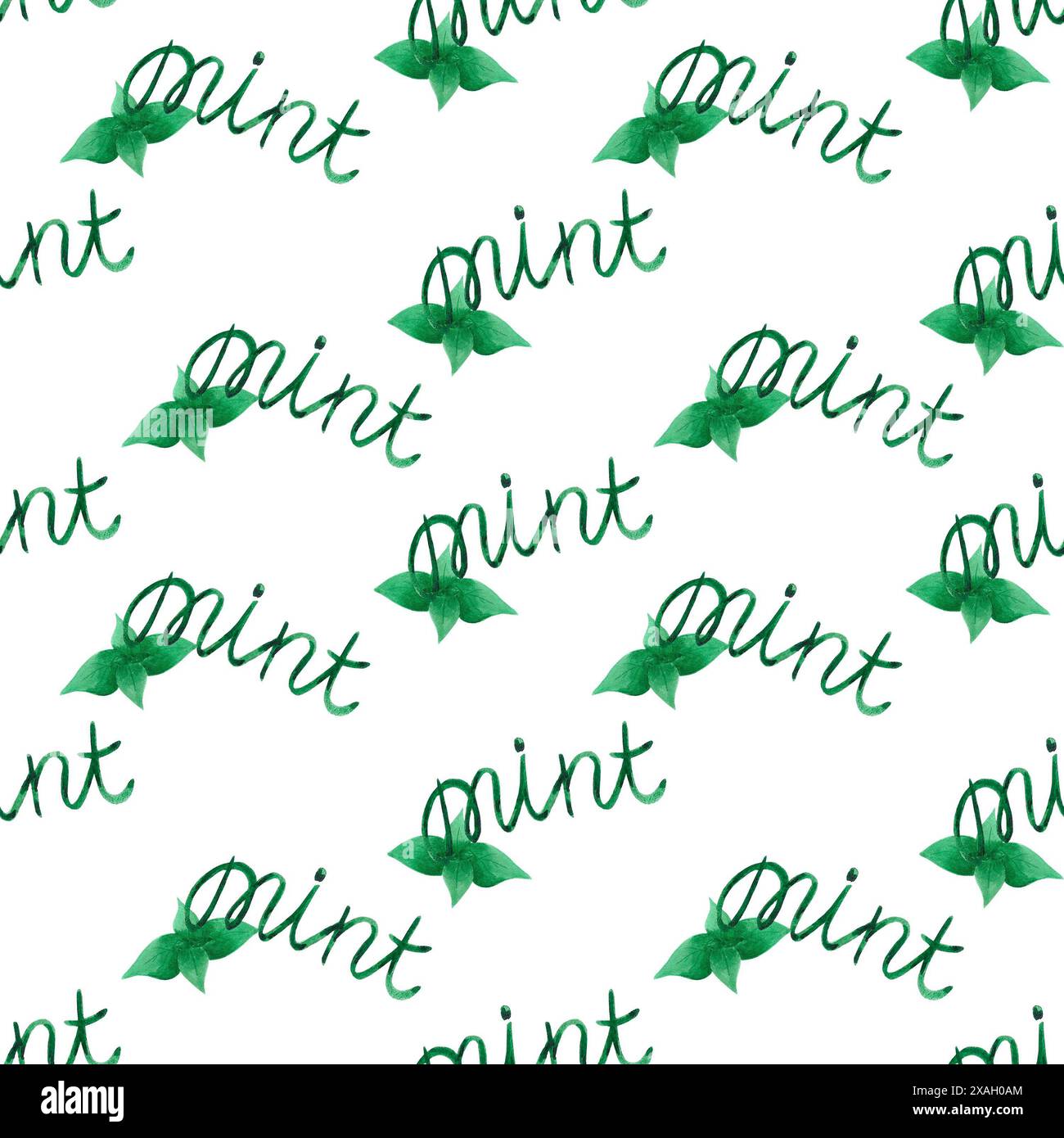 Hand drawn watercolor mint sign with leaves seamless pattern isolated ...