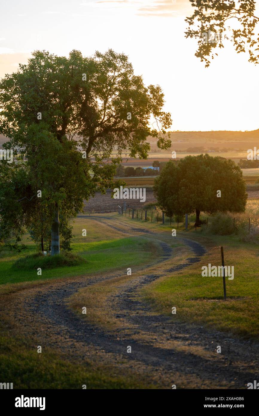 Road winding through trees hi-res stock photography and images - Alamy