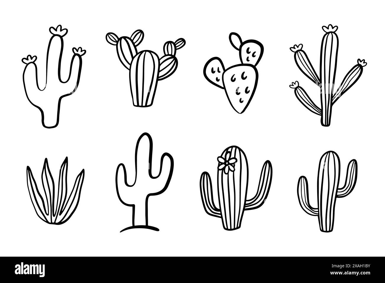 Hand drawn cacti doodles set. Cute cactus sketch Stock Vector Image ...