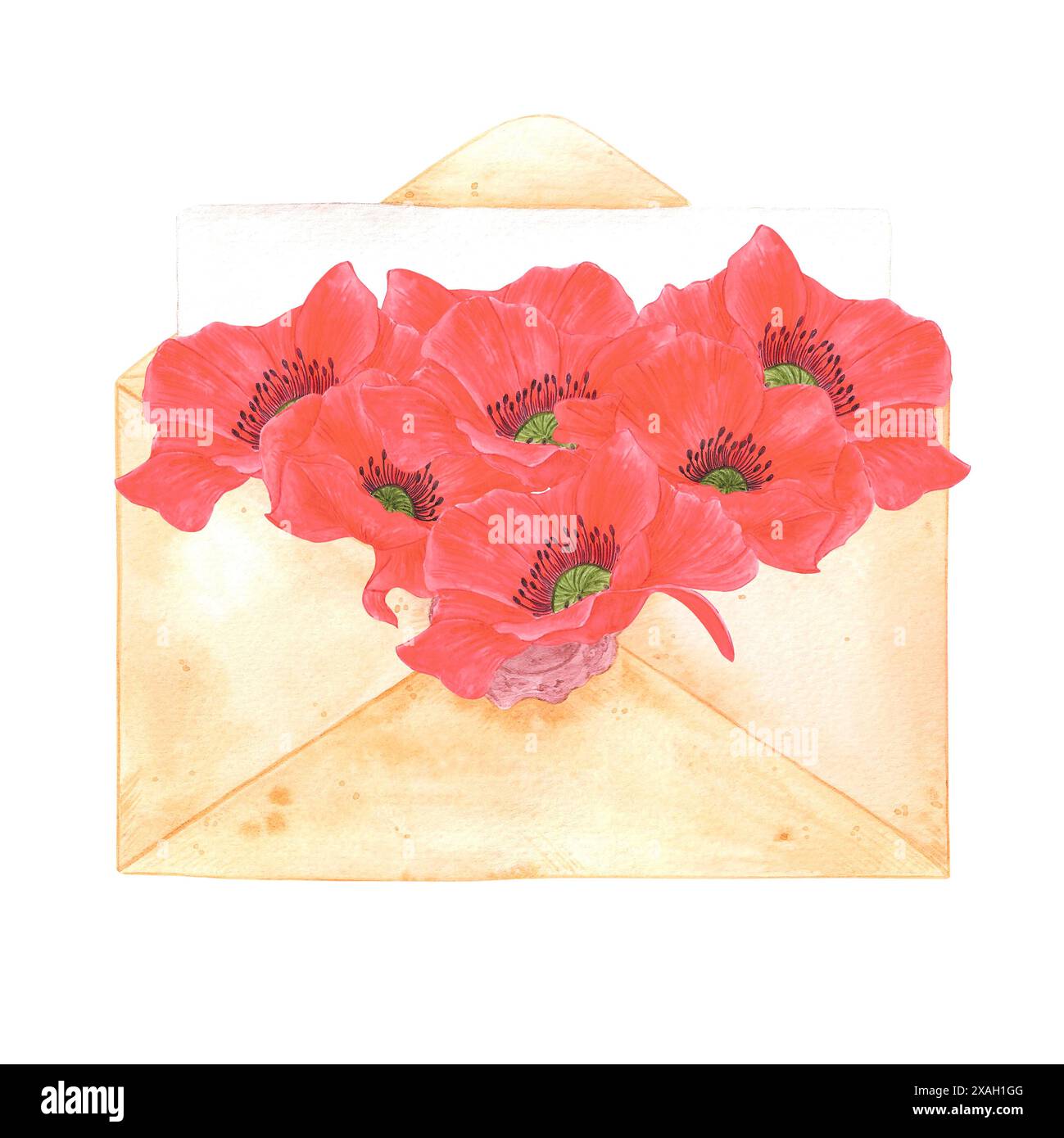 Hand drawn watercolor letter with red poppy flowers isolated on white ...