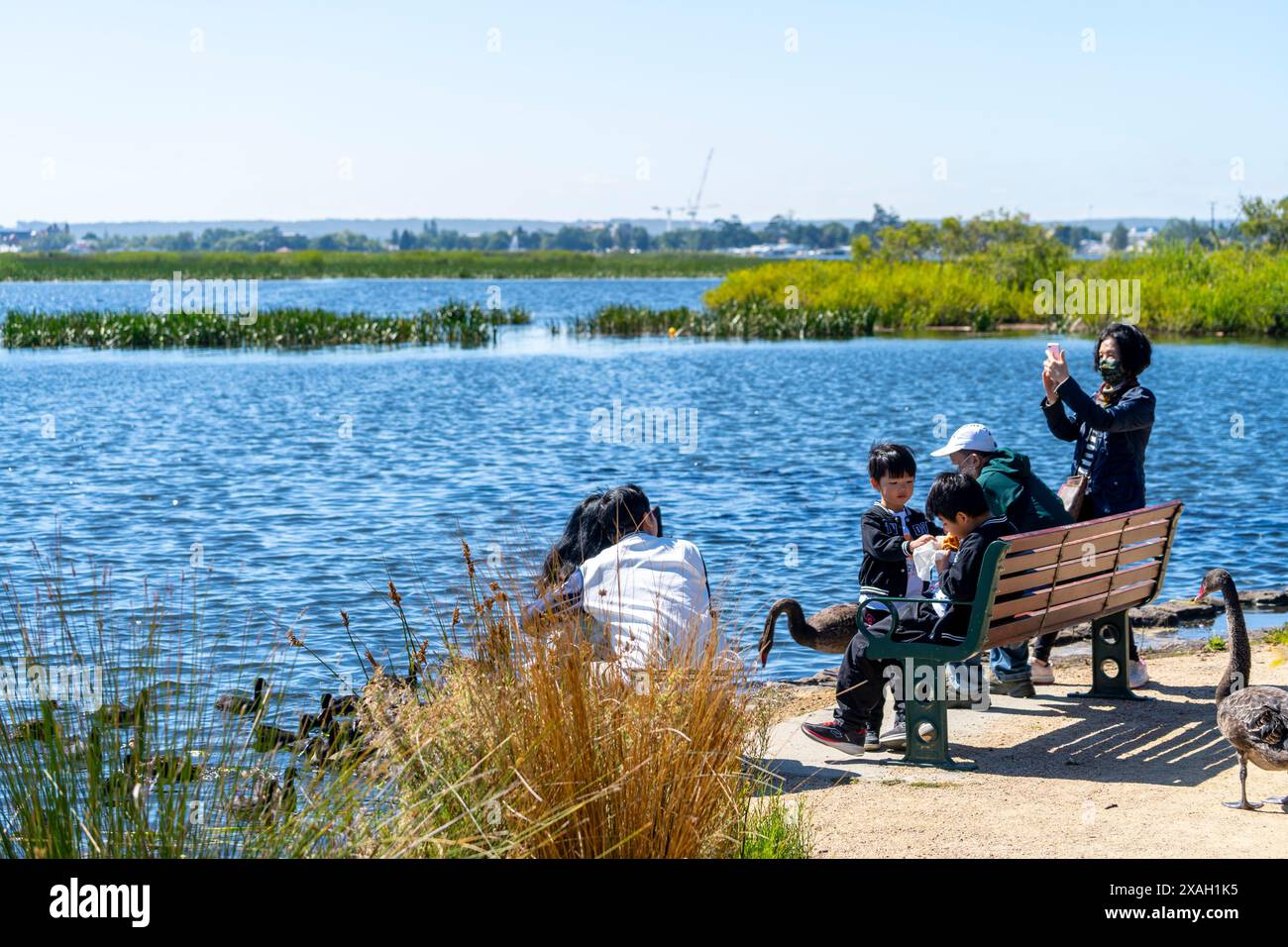 Visitors on bank of Lake Wendouree, Ballarat Botanical Gardens ...