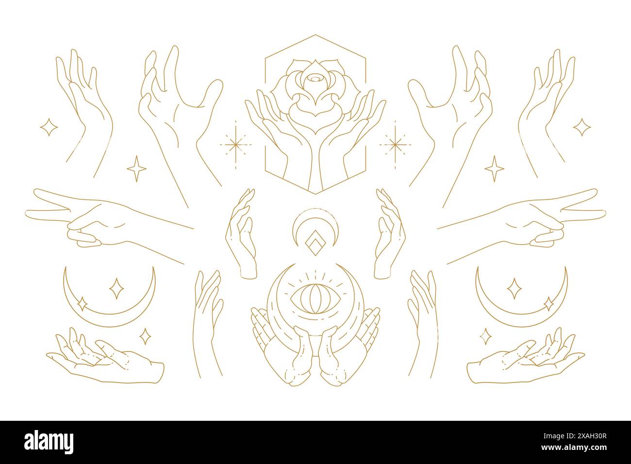 Female hands gestures collection of line art hand drawn style vector ...