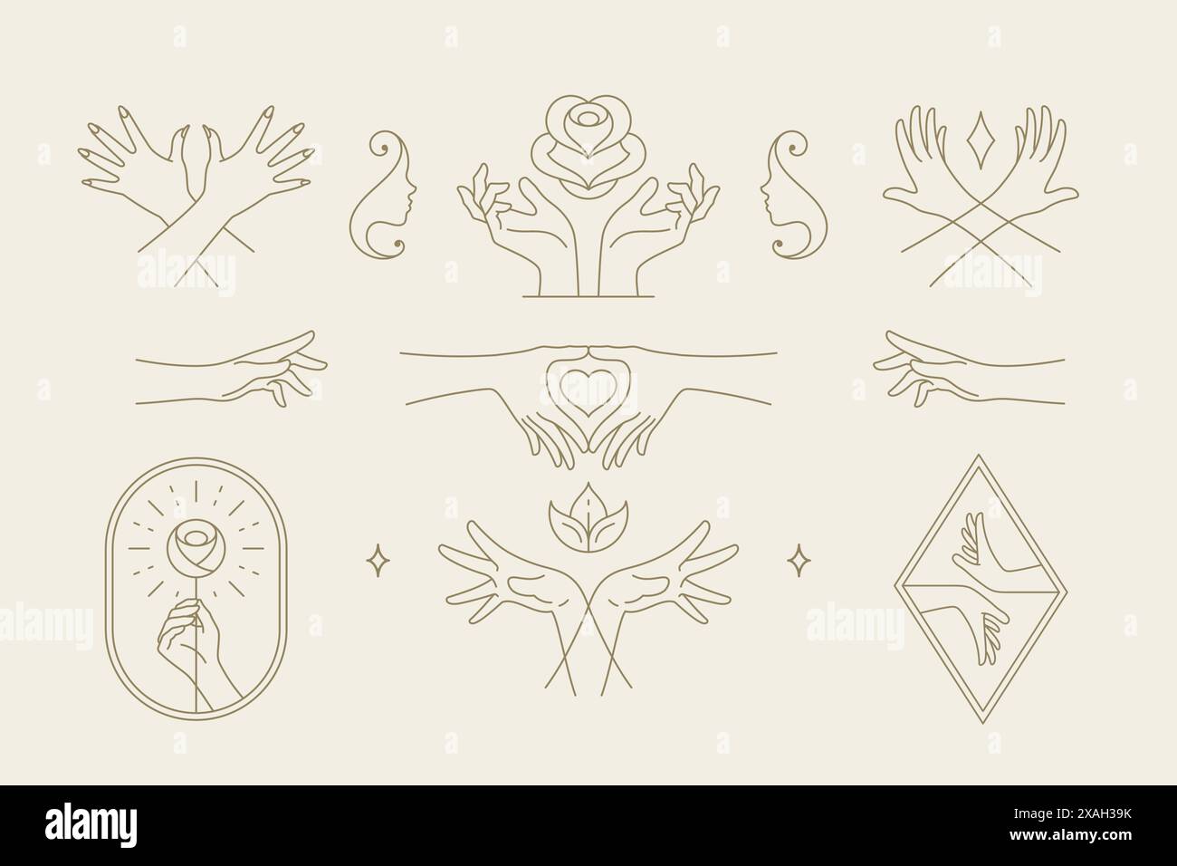 Female hands gestures collection of line art hand drawn style vector ...