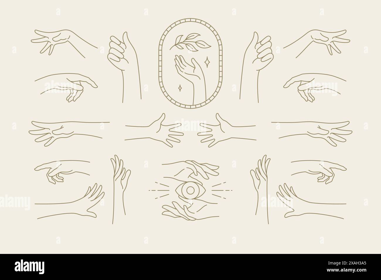 Female hands gestures collection of line art hand drawn style vector ...