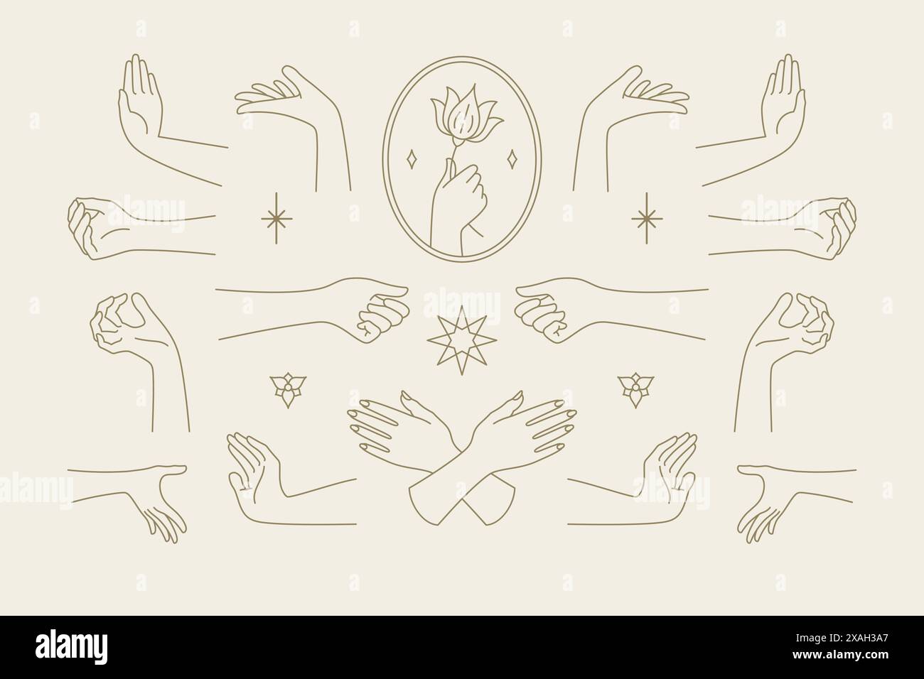 Female hands gestures collection of line art hand drawn style vector ...