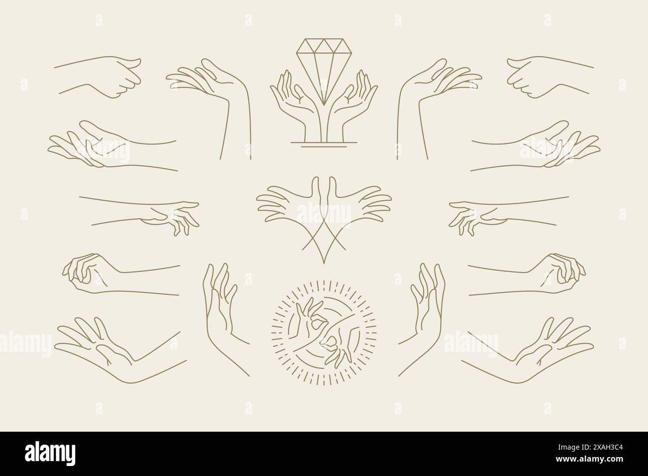 Female hands gestures collection of line art hand drawn style vector ...