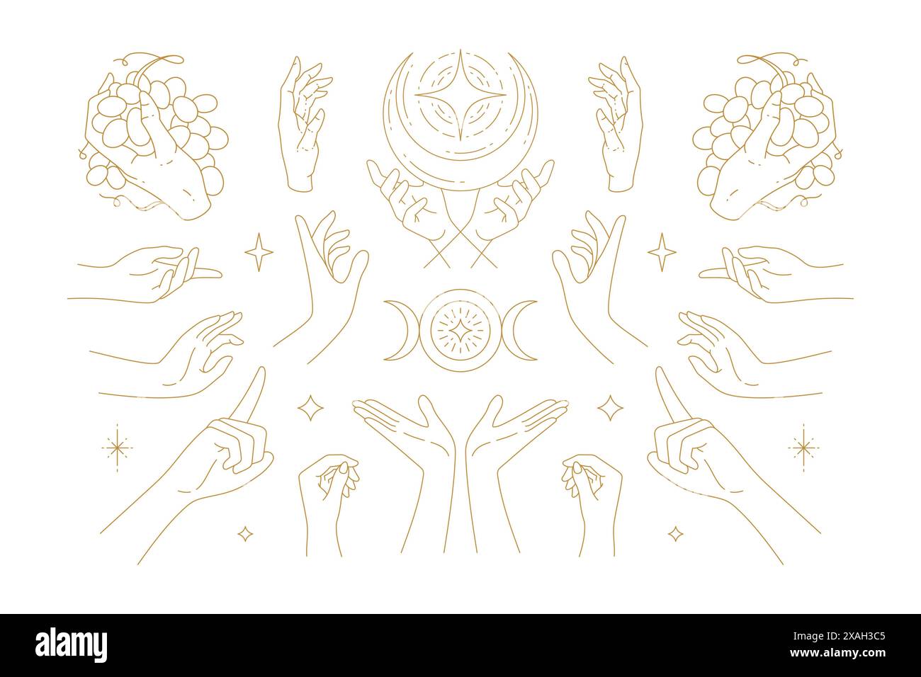 Female hands gestures collection of line art hand drawn style vector illustrations. Feminine ...
