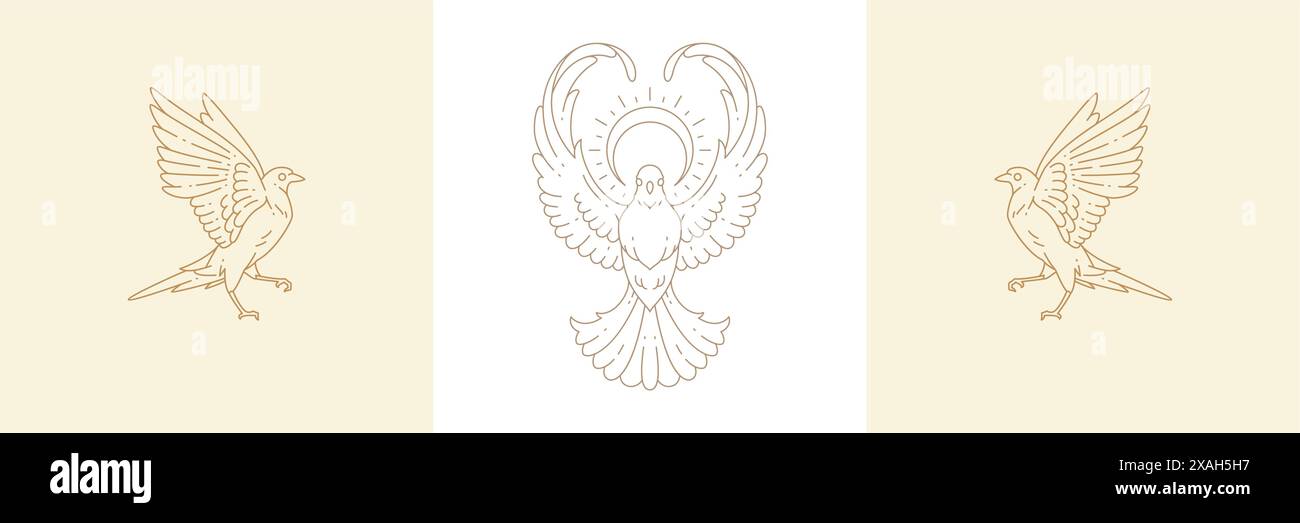 Magic birds and flight dove with sun in boho linear style vector ...