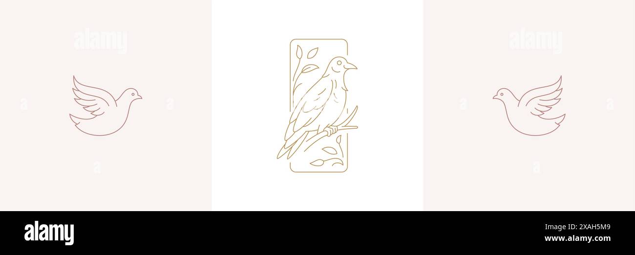 Bird on branch and flight dove in boho linear style vector ...