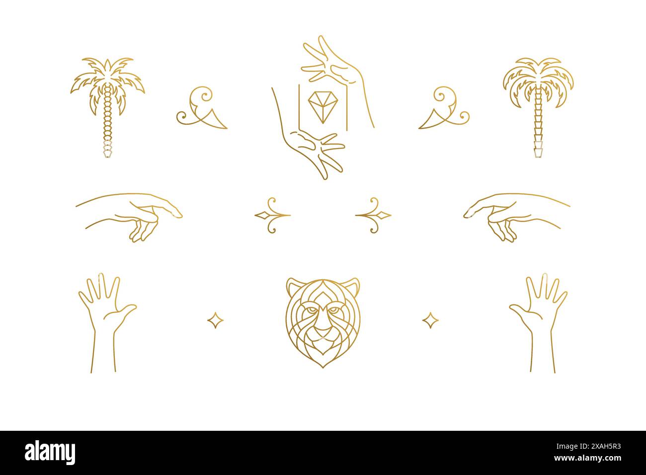 Vector line elegant decoration design elements set - tiger head and ...