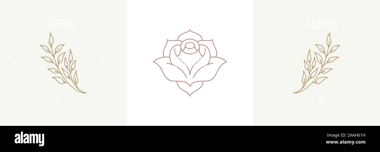 Rose tender natural blossom and twigs with blooming flower in boho ...