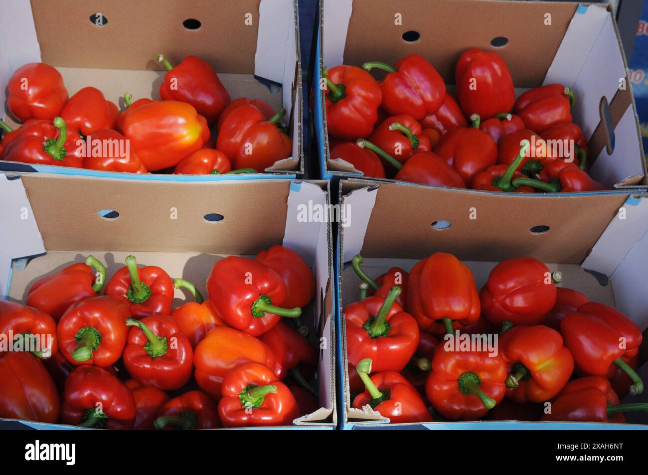 Copenhagen/ Denmark/07 JUNE 2024/Red ppers on sale in danish gocery ...