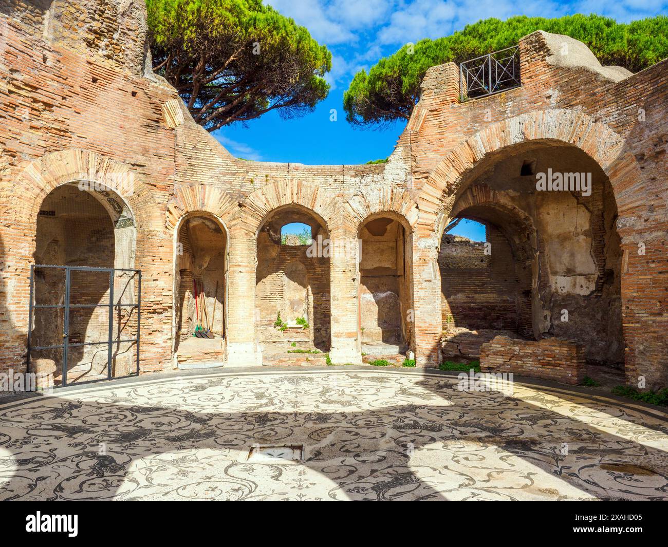 Mosaic in the circular room of the frigidarium in the Baths of the ...