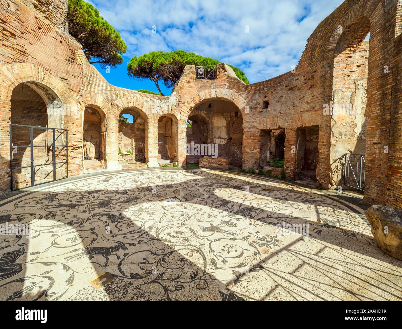 Mosaic in the circular room of the frigidarium in the Baths of the ...