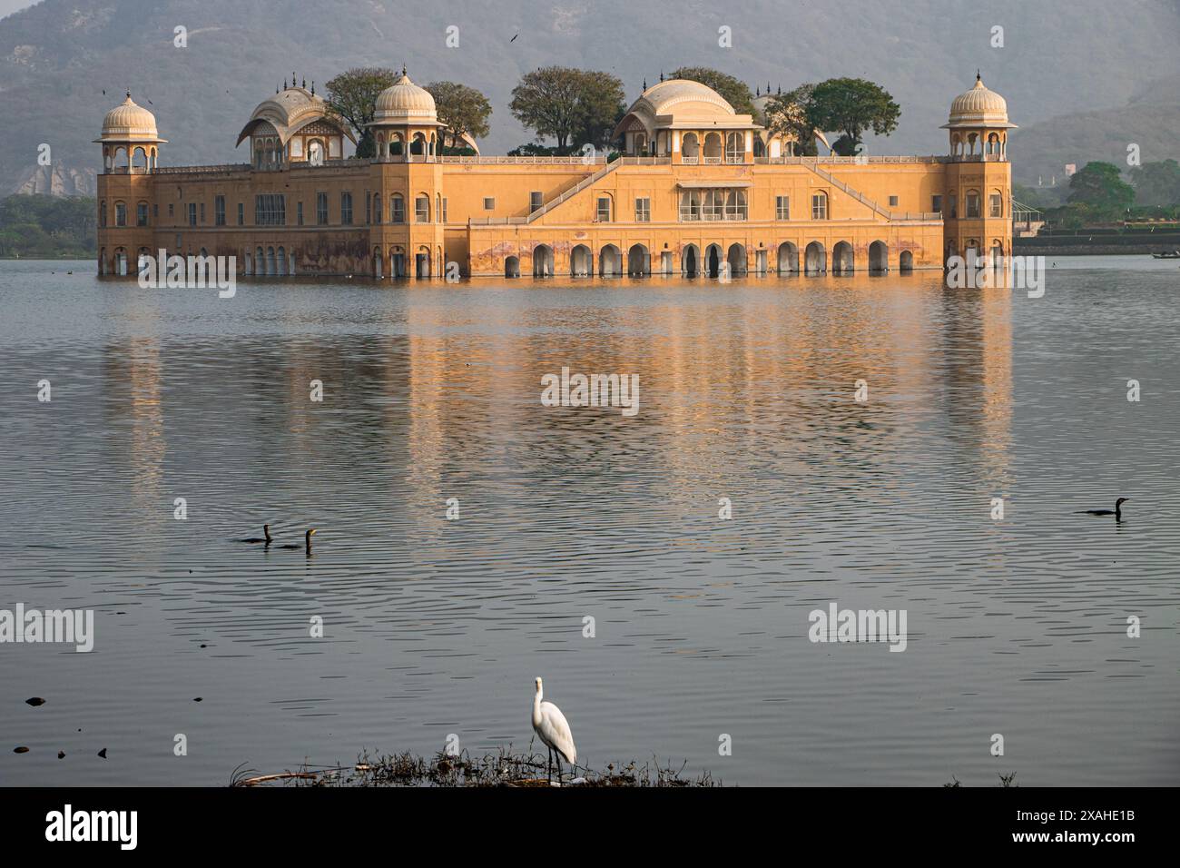 Jal Mahal, the Water Palace that seems to float atop the Man Sagar Lake ...