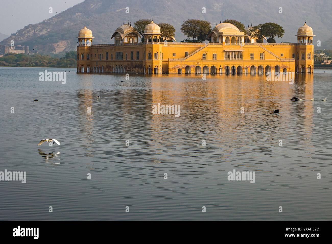 Jal Mahal, the Water Palace that seems to float atop the Man Sagar Lake ...