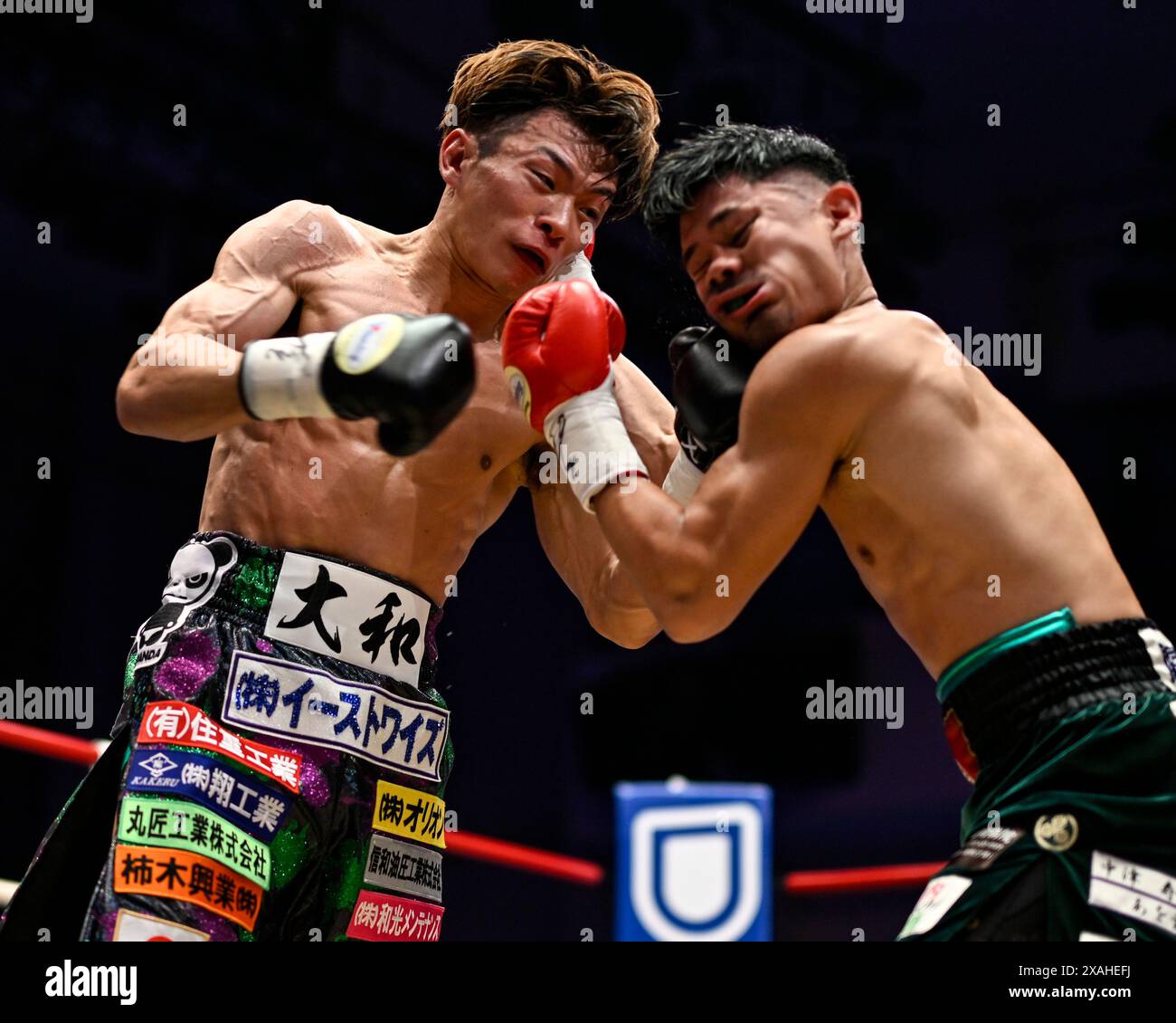 Champion Kosuke Saka (red gloves) and challenger Yamato Hata (black gloves) compete during their ...