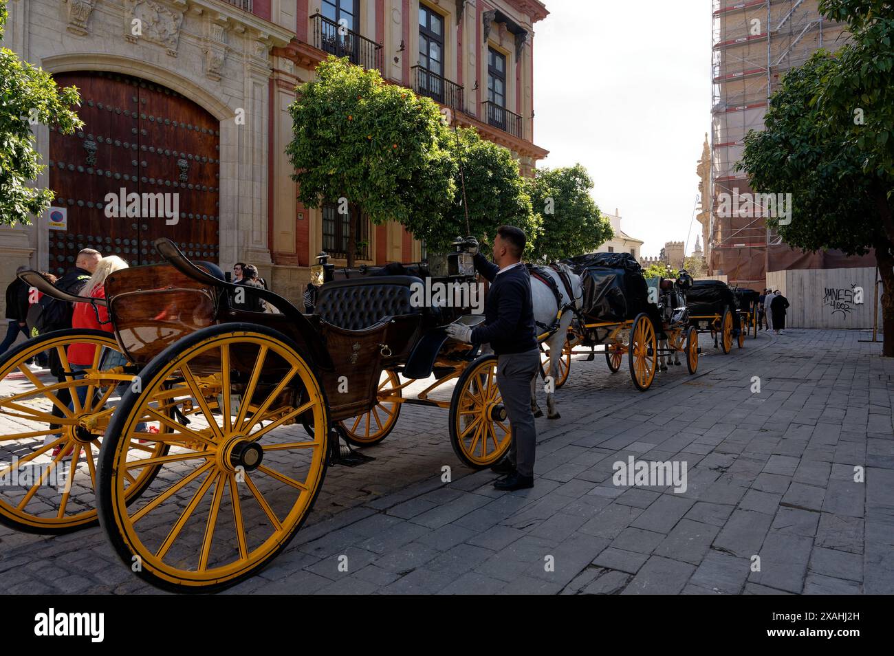 Horse-drawn carriages line up along a cobblestone street in the city ...