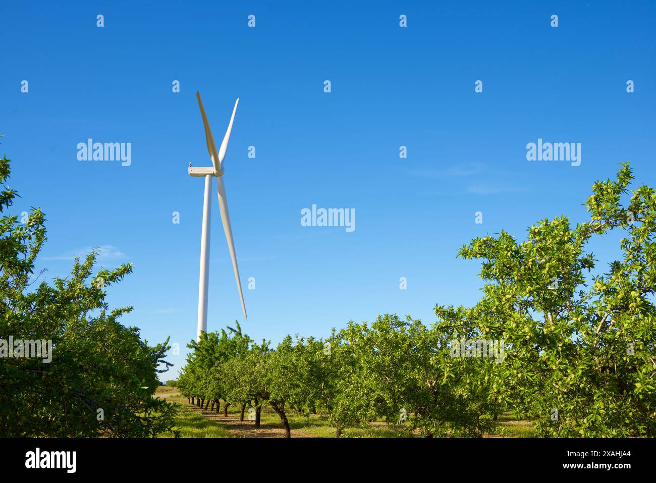 Wind turbine generator for clean electrical energy production and ...