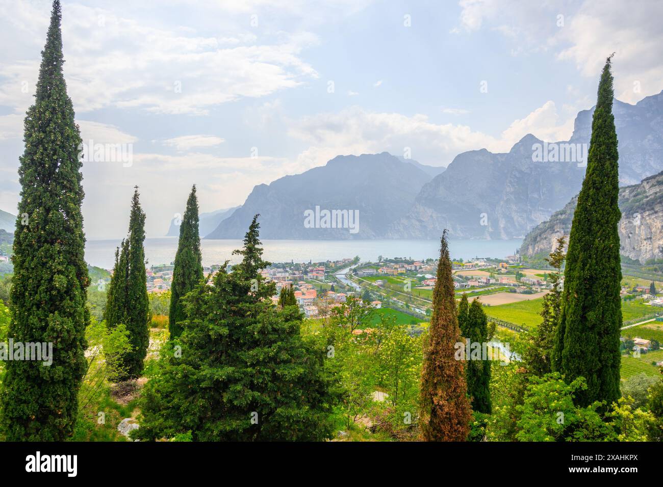 Lake Garda north side and cypress trees seen from the panoramic ...