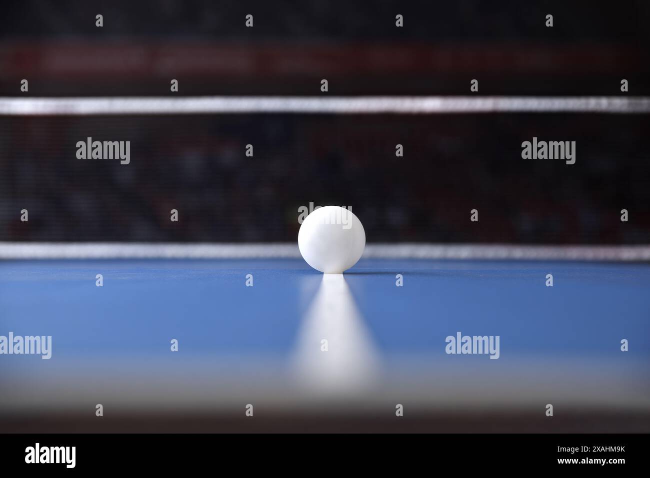 Ping pong competition concept with ball on the center line of a blue ...