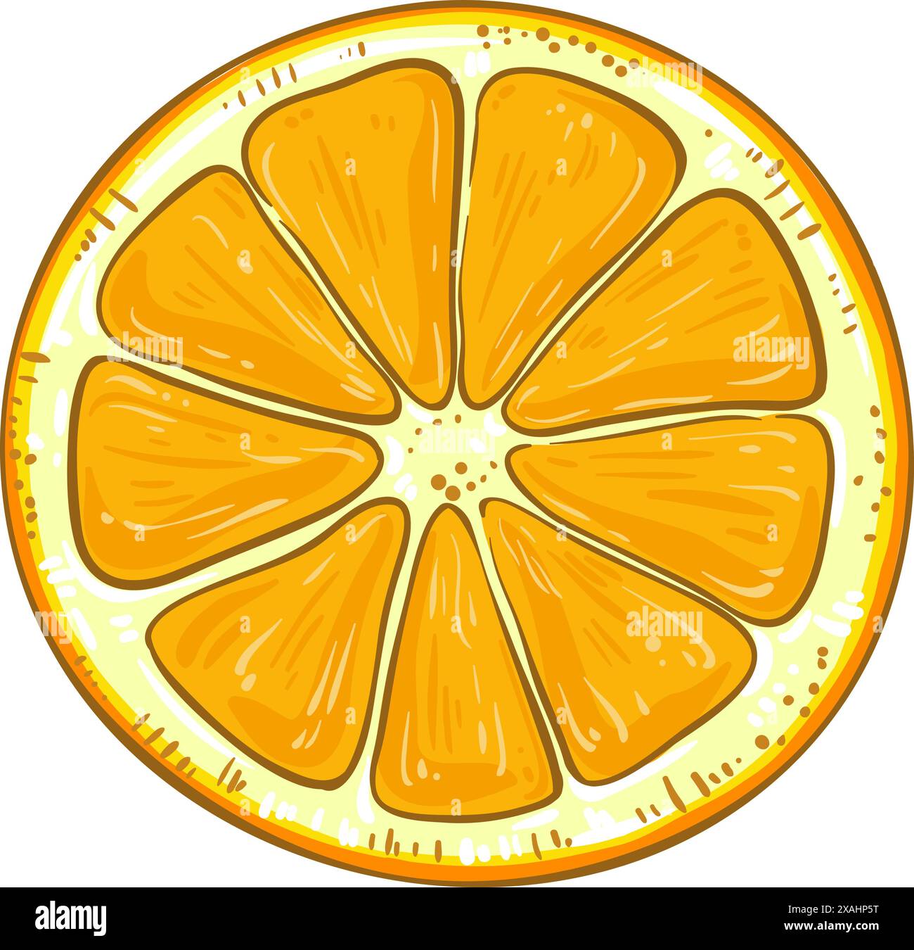 Orange Fruit Colored Detailed Illustration Stock Vector Image & Art - Alamy