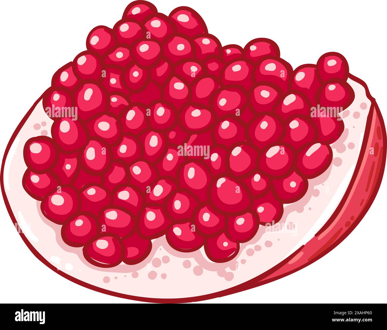 Pomegranate Fruit Colored Detailed Illustration Stock Vector Image ... Pomegranate Fruit Colored Detailed Illustration Stock Vector Image ...