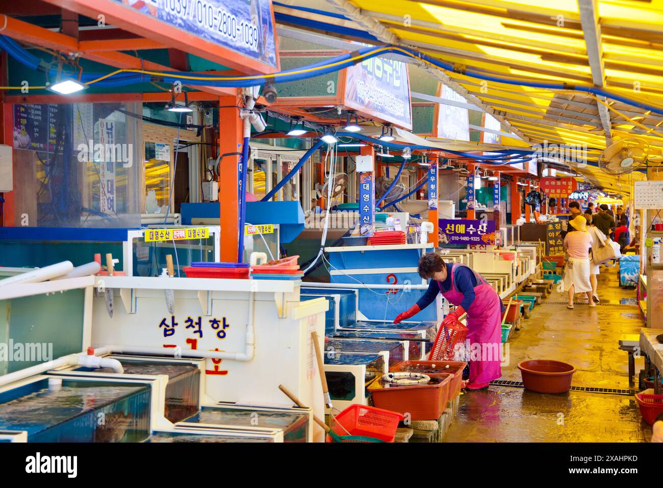 Samcheok City, South Korea - May 18, 2024: Inside the bustling Samcheok ...