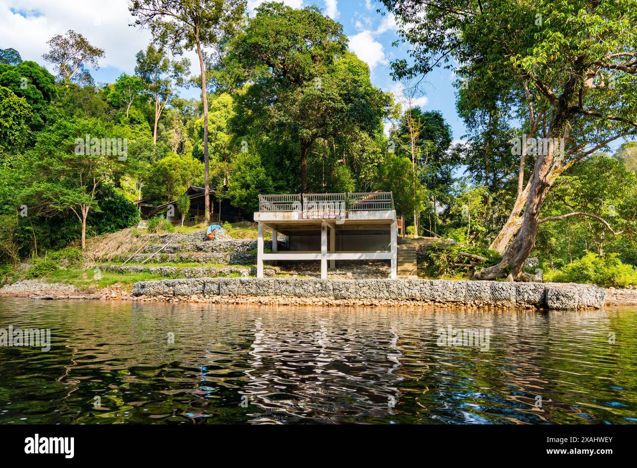 Fish Sanctuary in Taman Negara National Park with Tahan River Stock ...