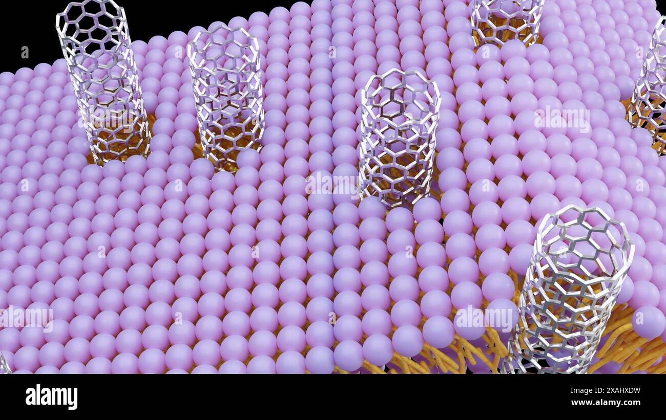 3D rendering of carbon nanotube porins, short pieces of carbon ...
