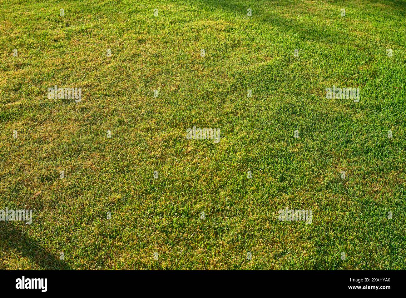 Immaculate landscaping hi-res stock photography and images - Alamy