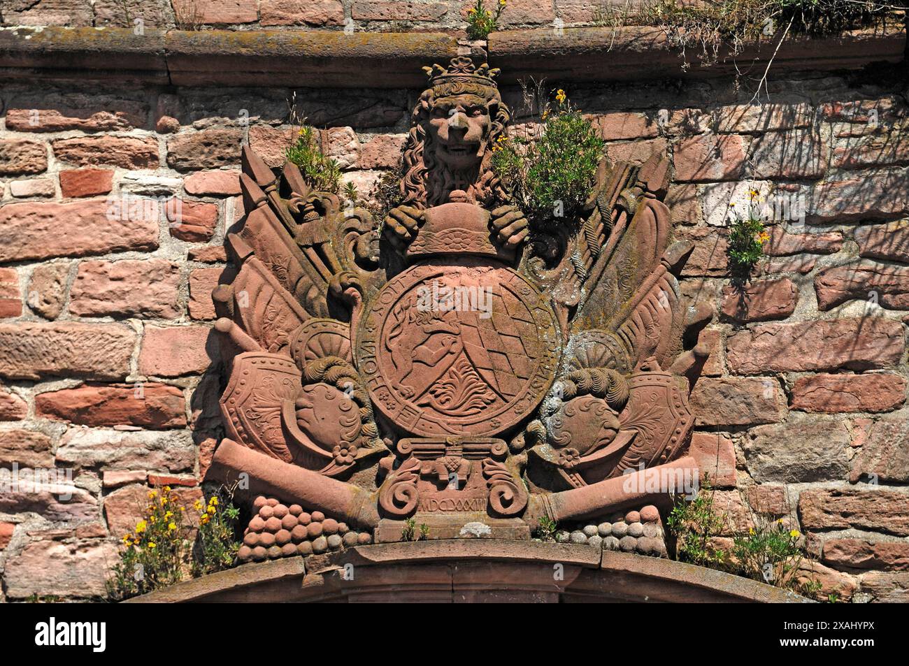 Coat of arms with lion's head and weapons, 1683, with the slogan: Honi ...