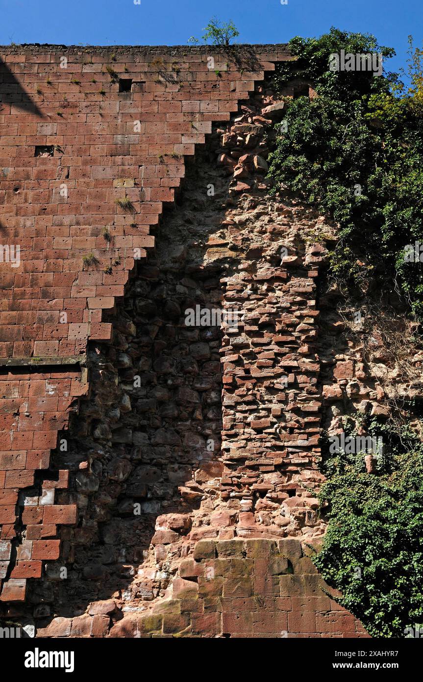 Heidelberg castle ruins, destroyed in 1689, construction of the ...