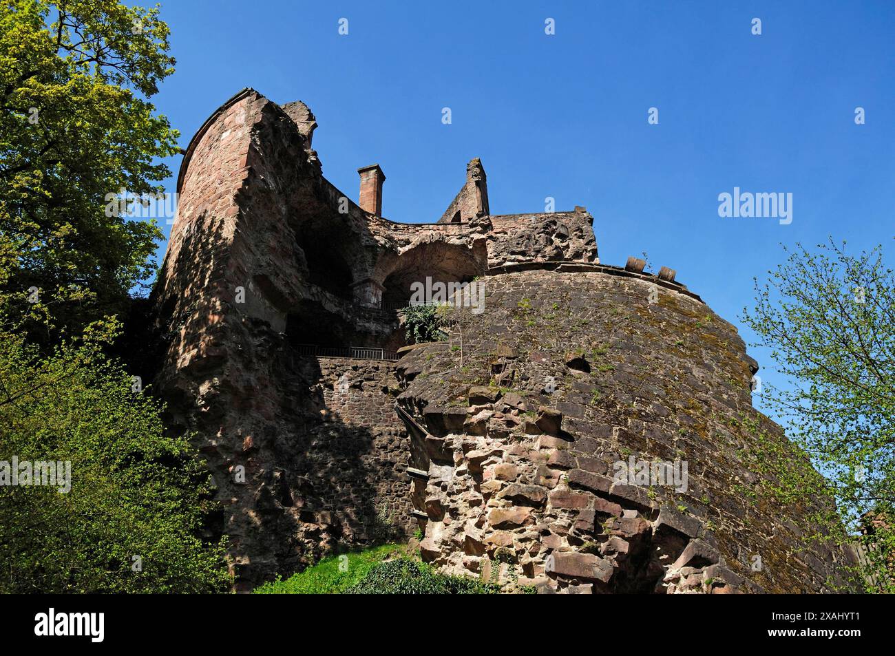 Heidelberg castle ruins, destroyed in 1689, the Kraut Tower, Powder ...