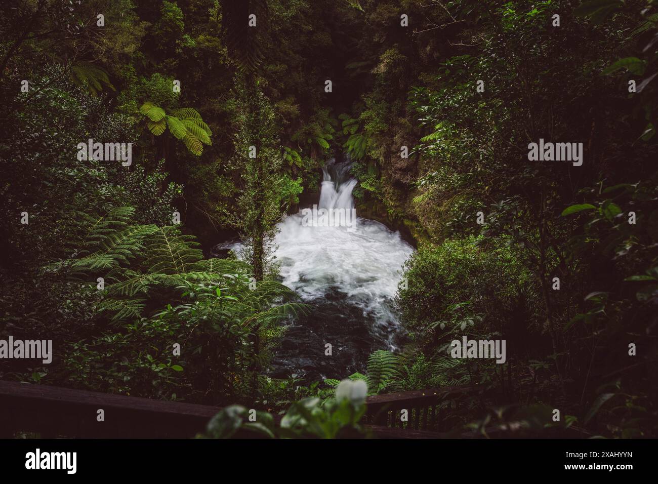 A waterfall in a dense, green forest with a wooden railing to watch ...