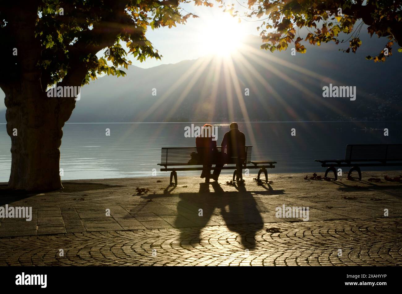 Romantic Couple Sitting on a Bench Between Two Trees on the Waterfront ...