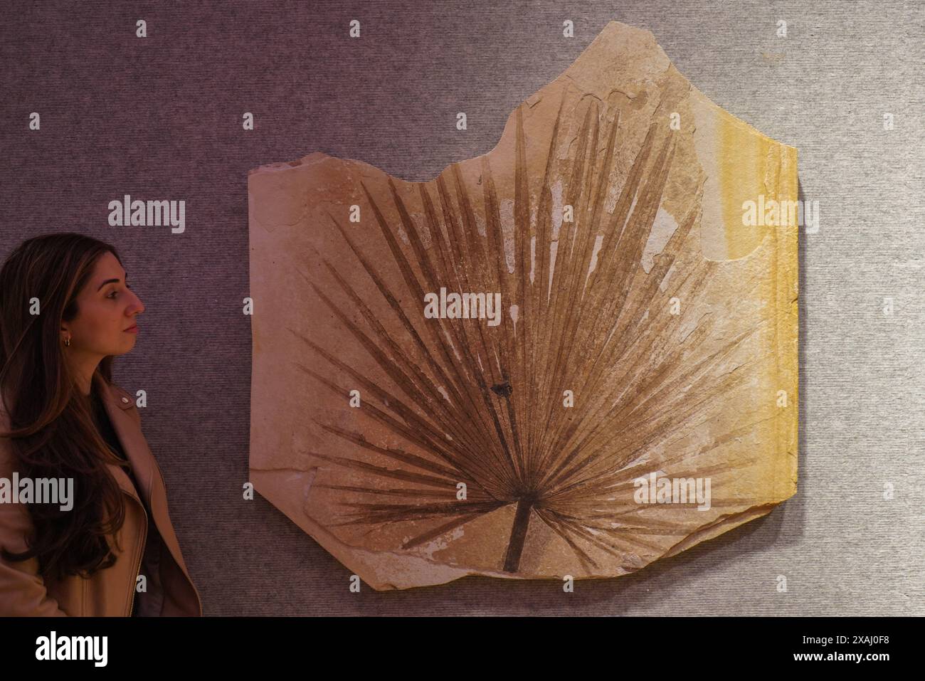 London, UK. 7 June 2024. Preview of Anything but Ordinary . Fossil Palm ...