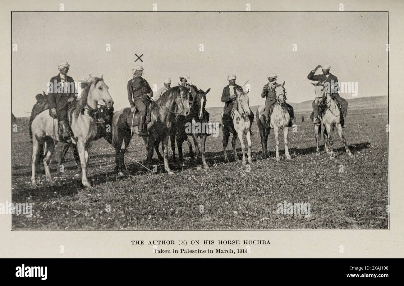 Horse rider at Kochba, Palestine 1914 Alexander Aaronsohn (Zikhron Ya ...