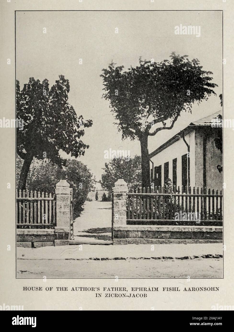 House of Ephraim Fishl AAronsohn in Zicron Jacob Alexander Aaronsohn ...