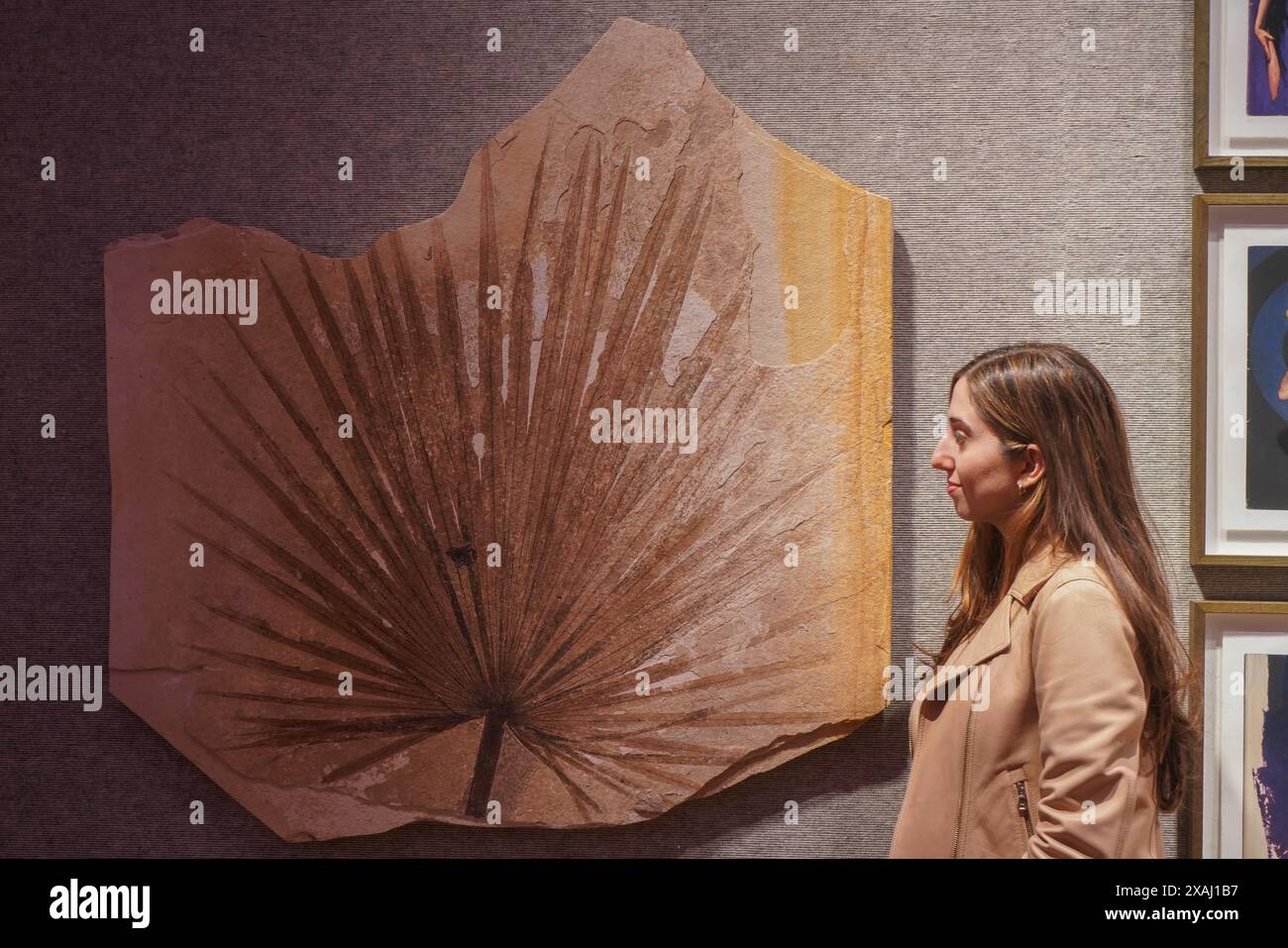 London, UK. 7 June 2024. Preview of Anything but Ordinary . Fossil Palm ...