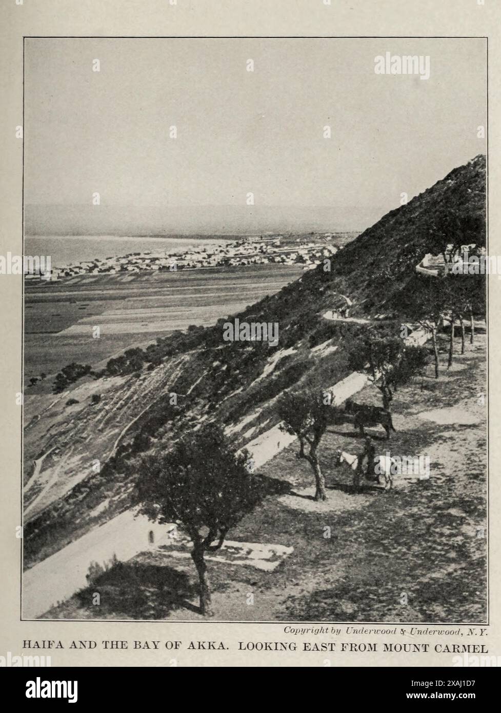 Haifa and the bay of Akka (Acre) looking east from Mount Carmel ...