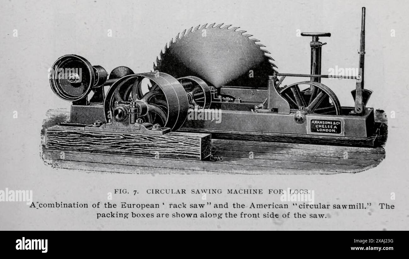 Sawing wood circular saw logs hi-res stock photography and images - Alamy