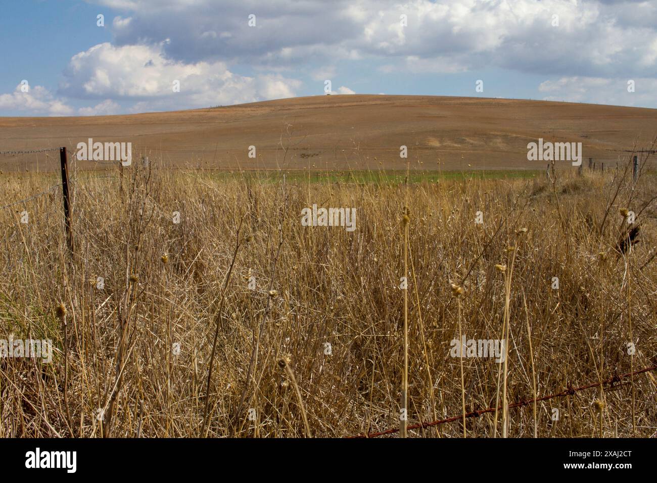 View of dry farming fields and hill in Bathurst, Australia Stock Photo ...