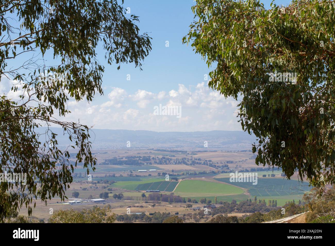 View of the Australian bush at sunset Stock Photo - Alamy