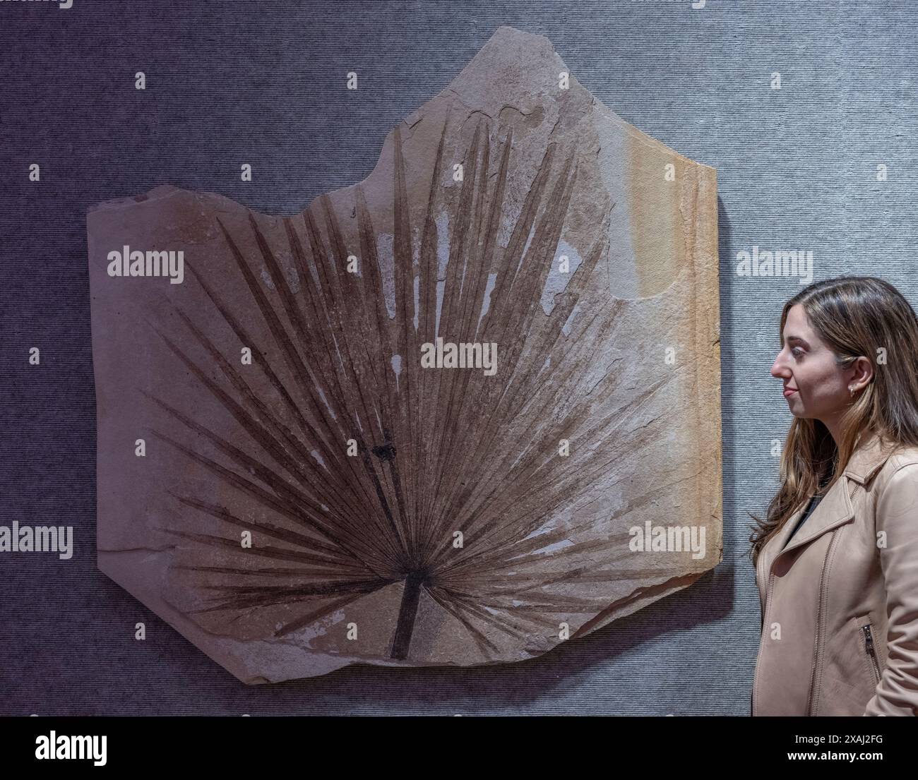 Bonhams, London, UK. 7th June, 2024. Cult artists The Connor Brothers ...