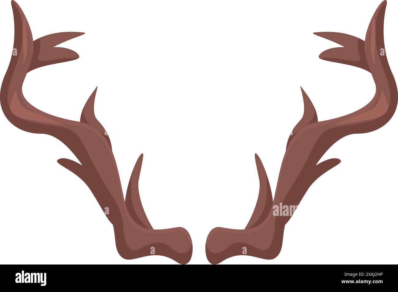 Brown elk antlers forming a symmetrical composition on white background ...