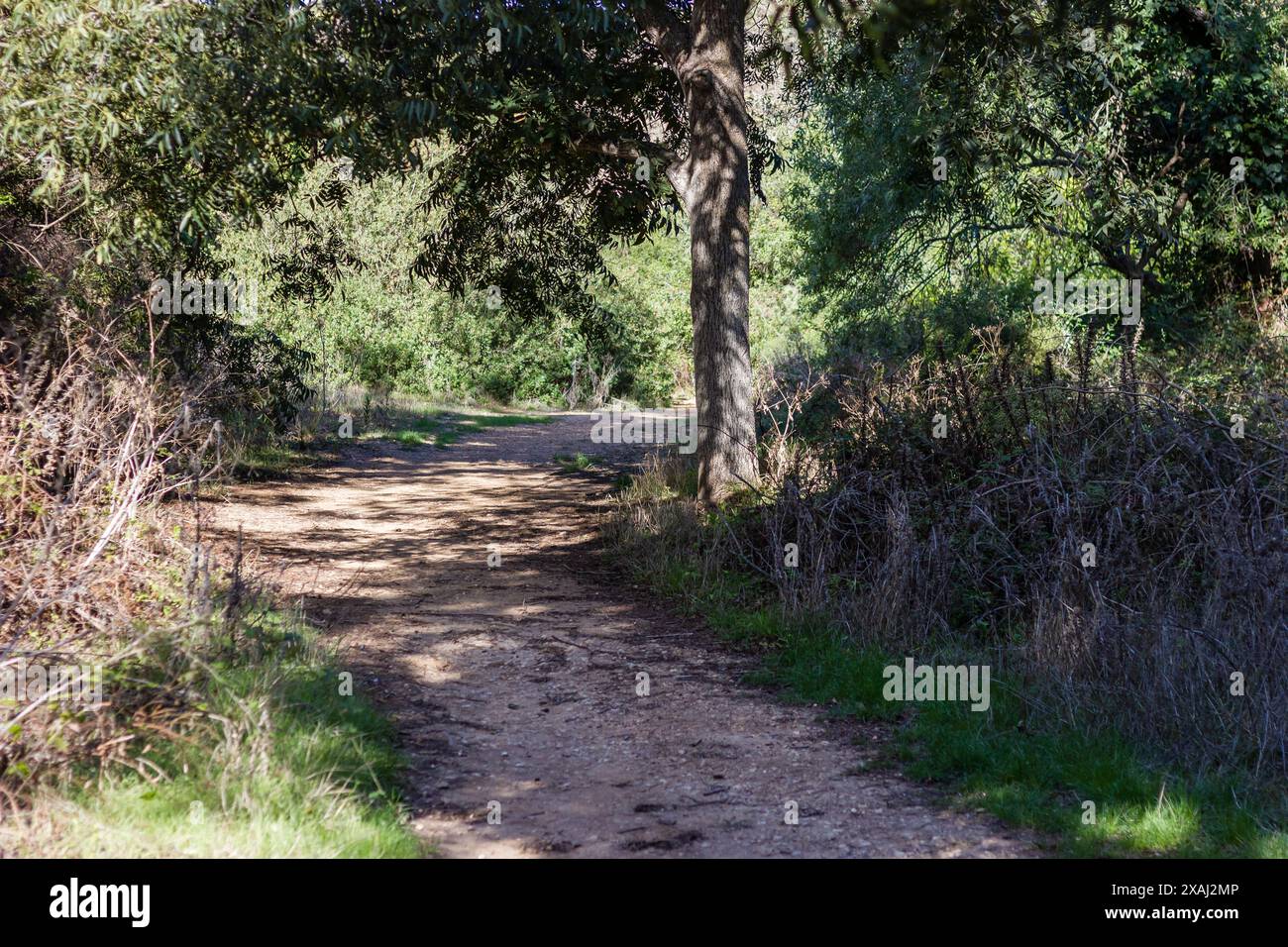 Footpath pathway hi-res stock photography and images - Alamy