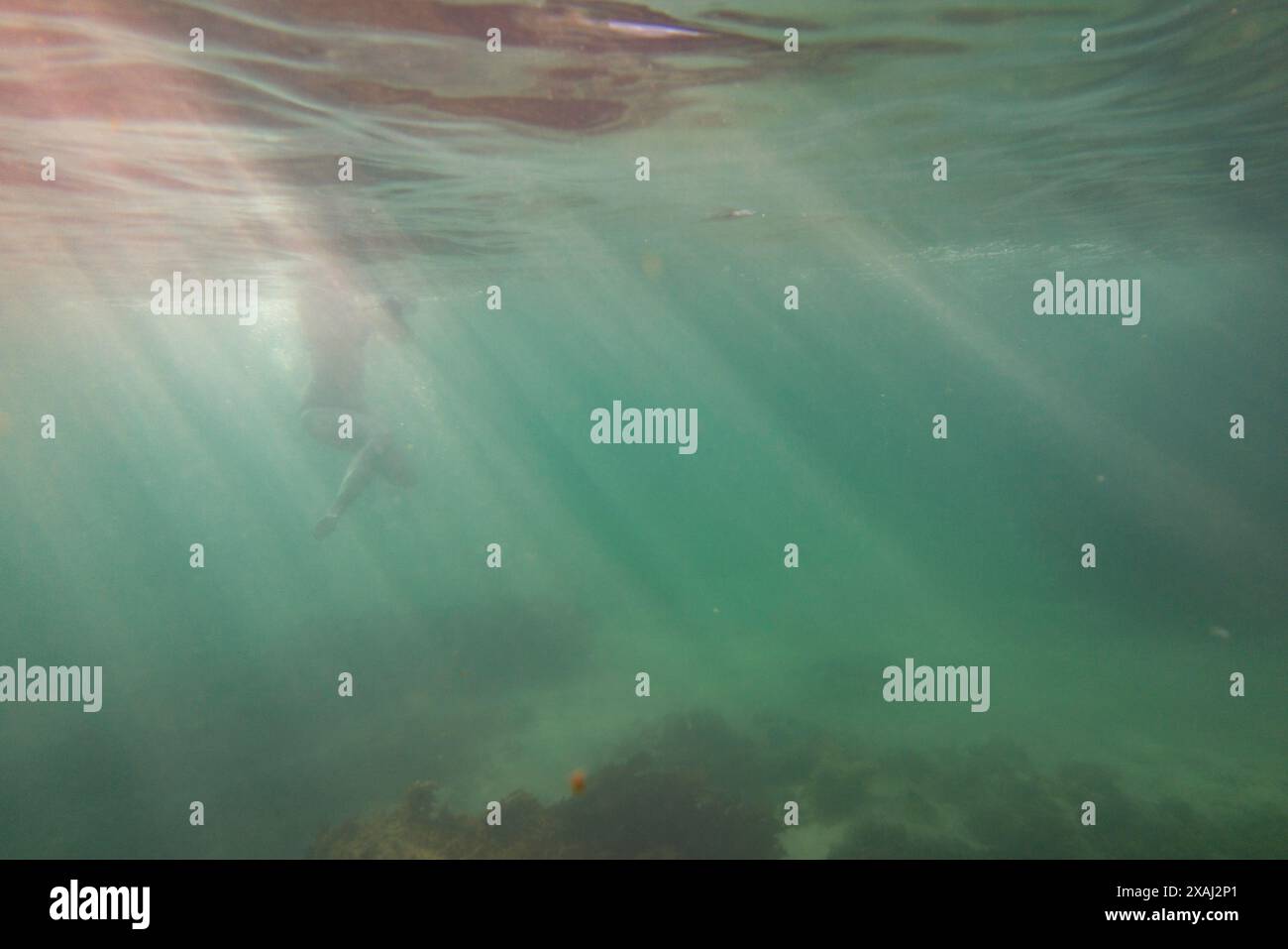 Sun light rays beaming into the blue green water and highlighting the ...