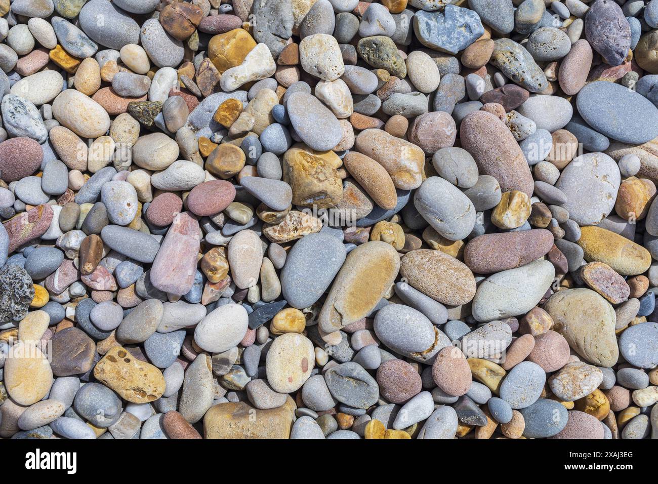 close-up flat photo of a dry pebble beach surface, small colored ...